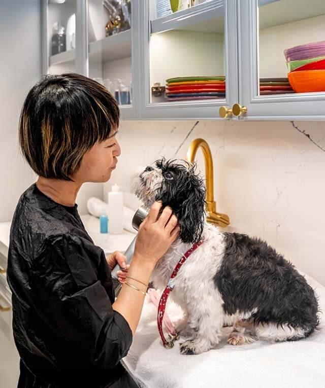 Mobile In-Home Dog Grooming Services in Manhattan - Luxury Groomer
